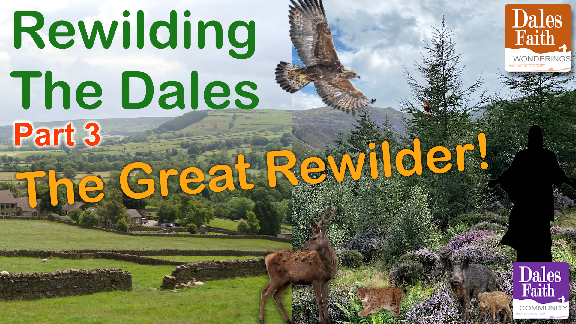 Rewilding The Dales – Part 3: The Great Rewilder - Dales Faith